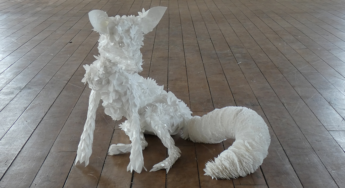 Flora-Fauna : Fox – karriehovey